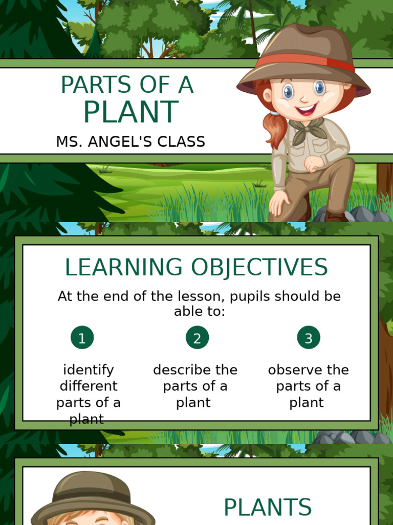 Colourful Cartoon Science Parts of A Plant Educational Presentation | PDF