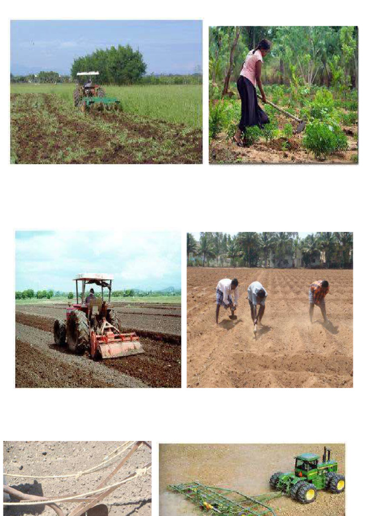 Steps for Effective Vegetable Land Prep | PDF | Tillage | Soil