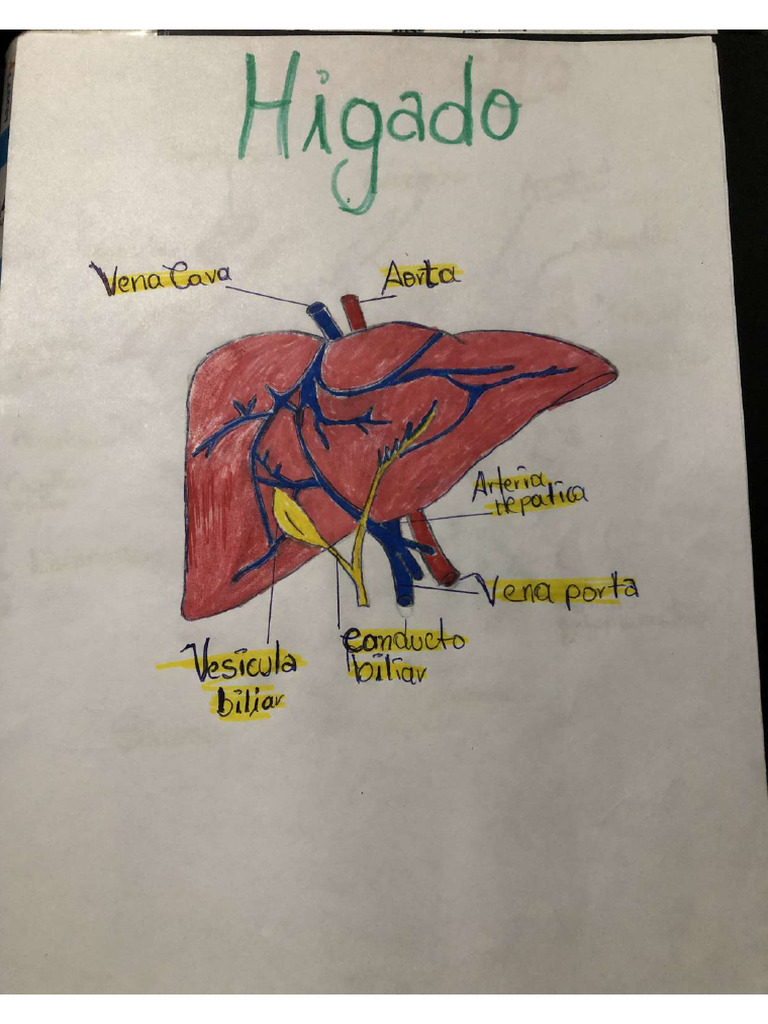 6C399B71-D5FB-49C3-B1A3-915E2F3B7007 | PDF