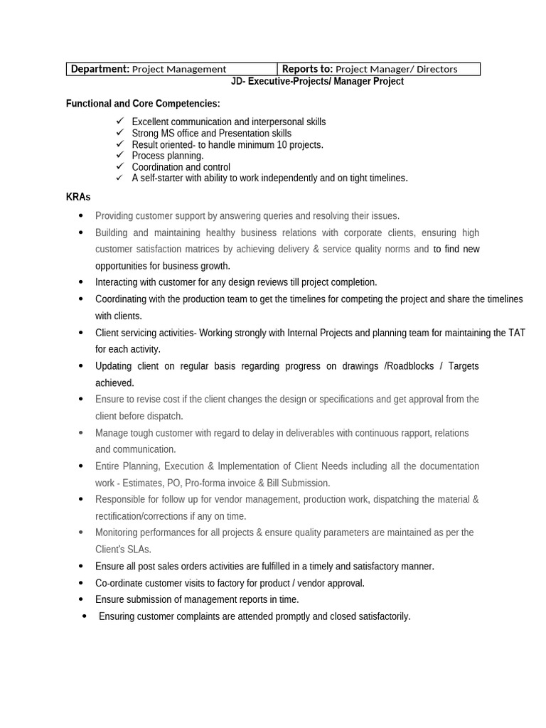 Delivery Project Executive Overview | PDF
