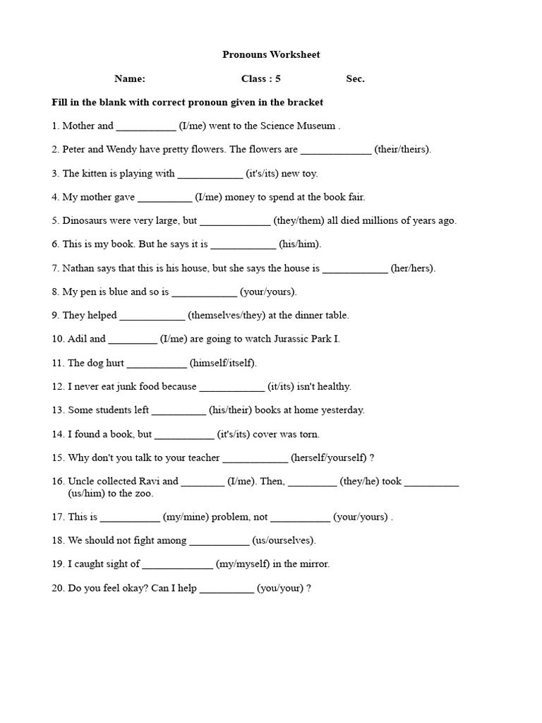 Pronouns Worksheet Class 5 | PDF
