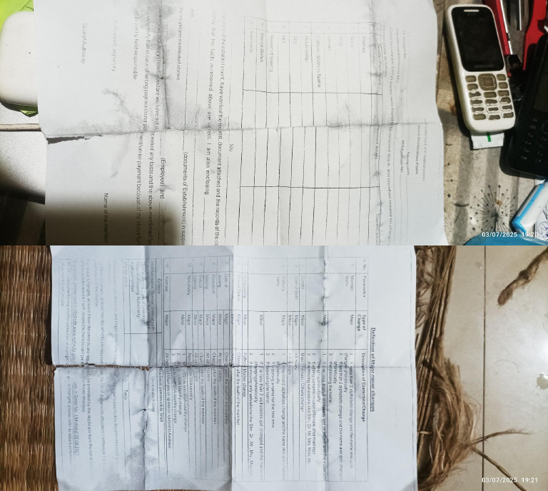 Original Joint Declaration Form | PDF