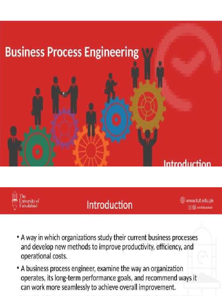 Business Process Engineering | PDF