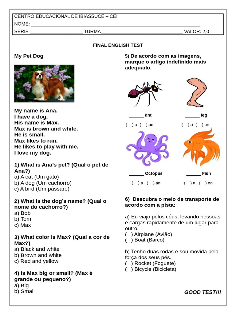 Prova 8 Ano Adaptada Ingles | PDF
