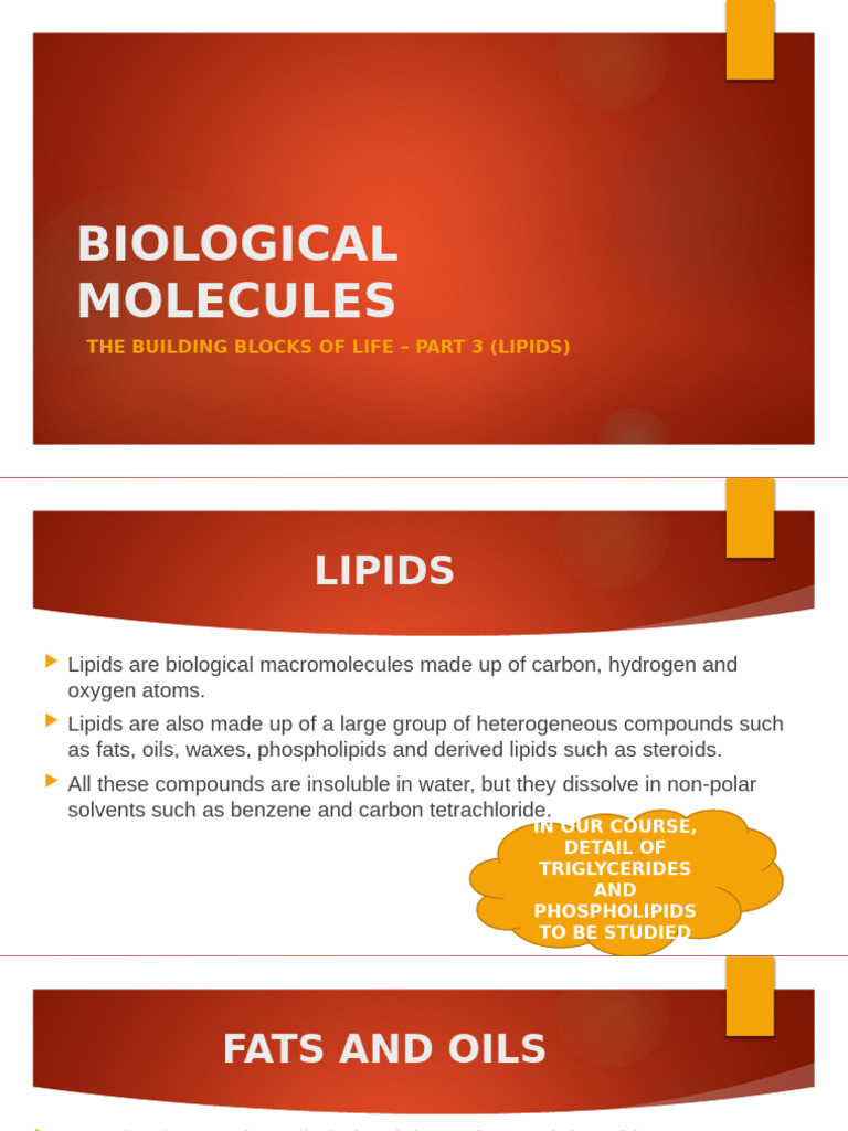 Understanding Lipids: Structure and Function | PDF | Fat | Lipid