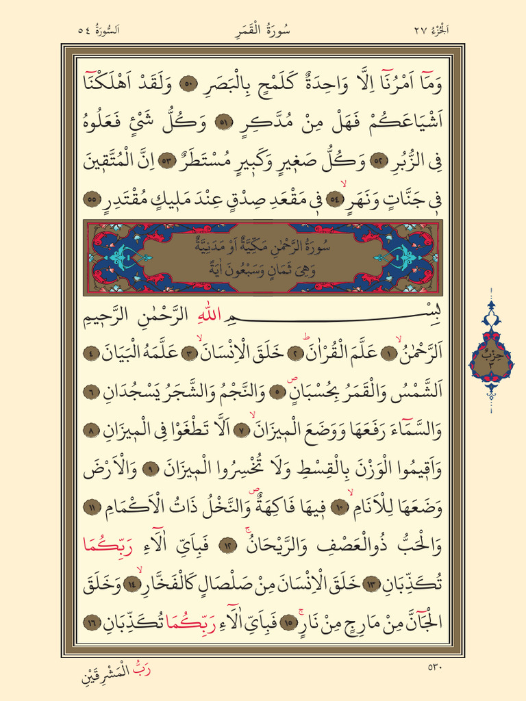 Sınıf 2. Dönem Vize Ezberleri | PDF