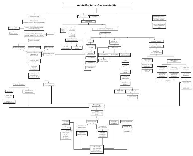 Acute Bacterial Gastroenteritis Overview | PDF | Angiotensin | Coagulation