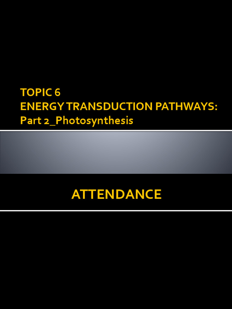 06 - Topic 6 - Part 2 Photosynthesis | PDF | Photosynthesis | Emission ...