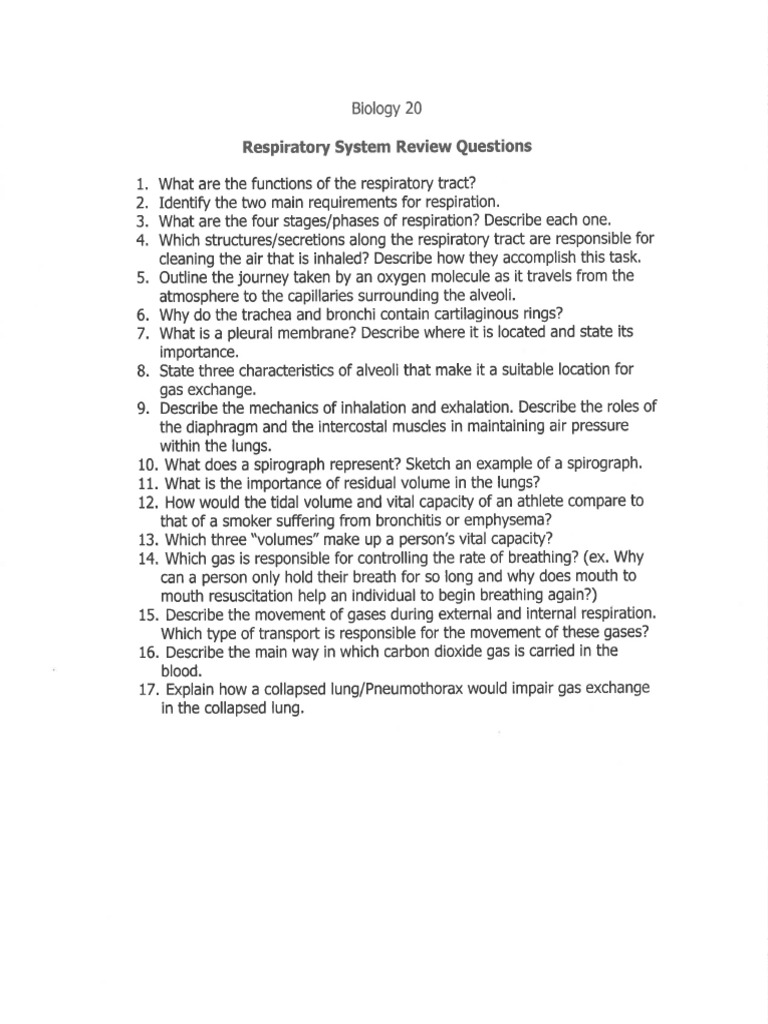 Bio 20 Respiratory System Review Questions | PDF