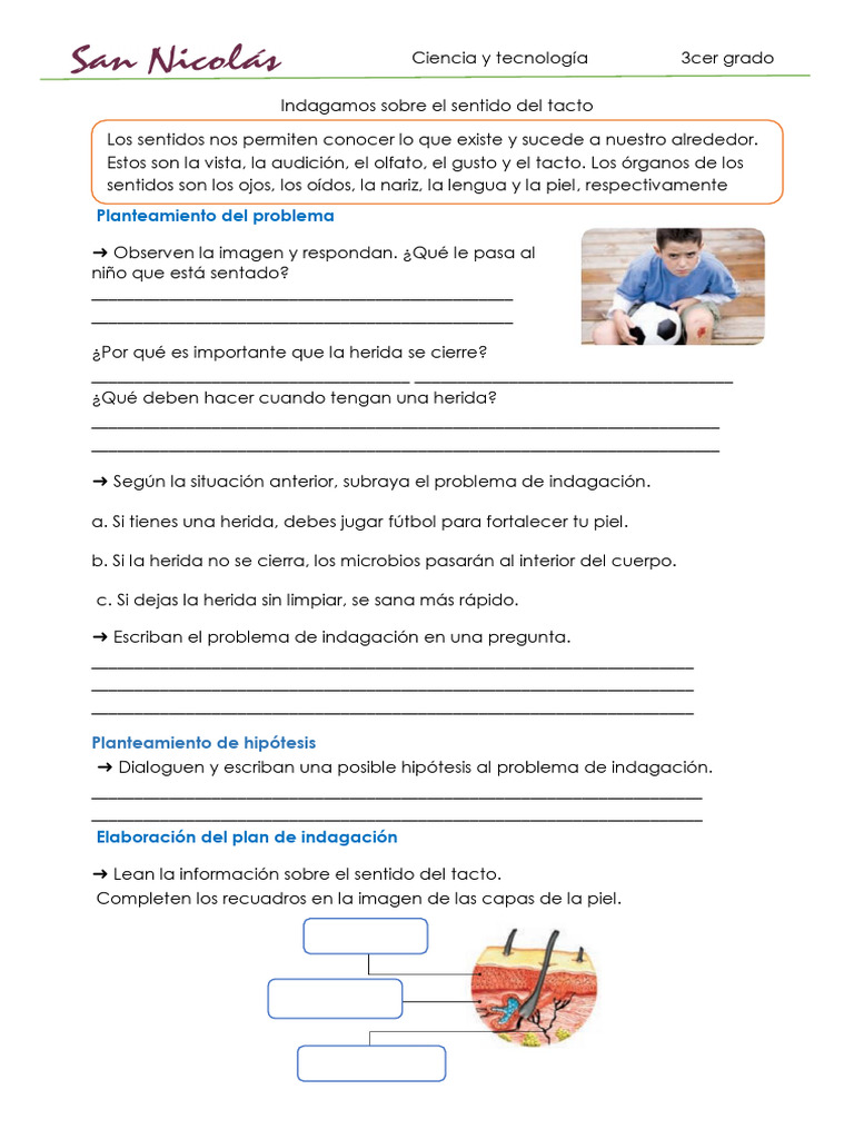 Indagamos Sobre El Sentido Del Tacto | PDF | Piel