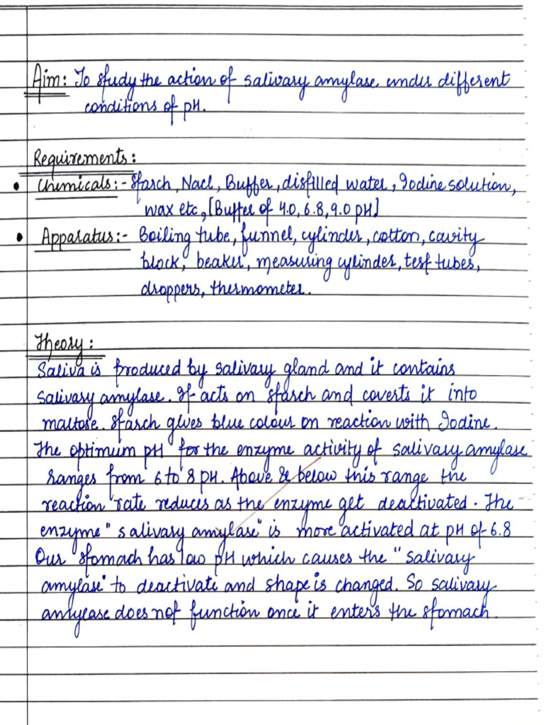 Amylase Activity With Different PH | PDF | Saliva | Exocrine System