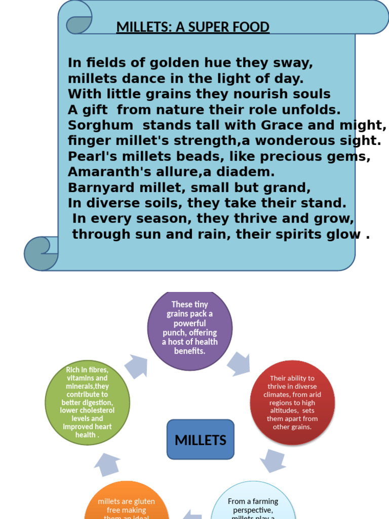 A Project On Millets. | PDF | Cereals | Rice