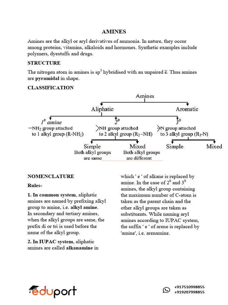 Overview of Amines: Structure, Properties, and Reactions | PDF | Amine ...