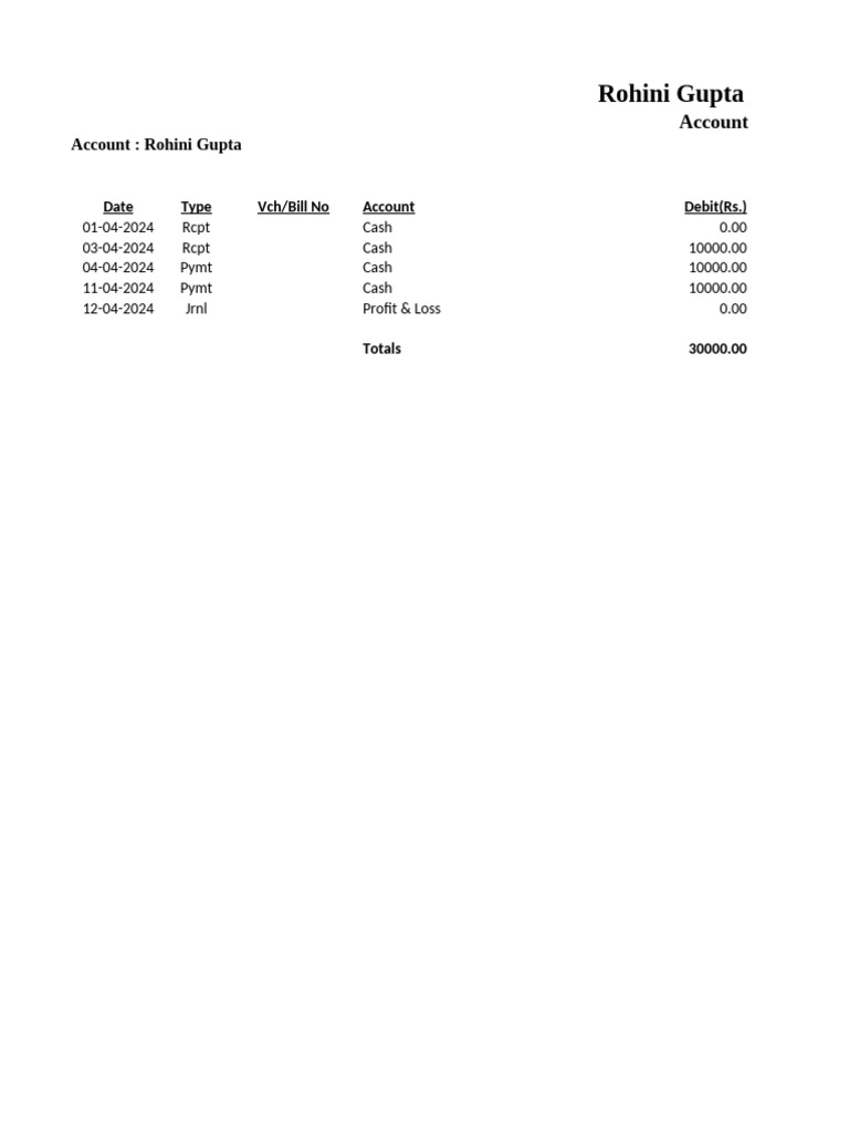 AccountLedger Rohini | PDF