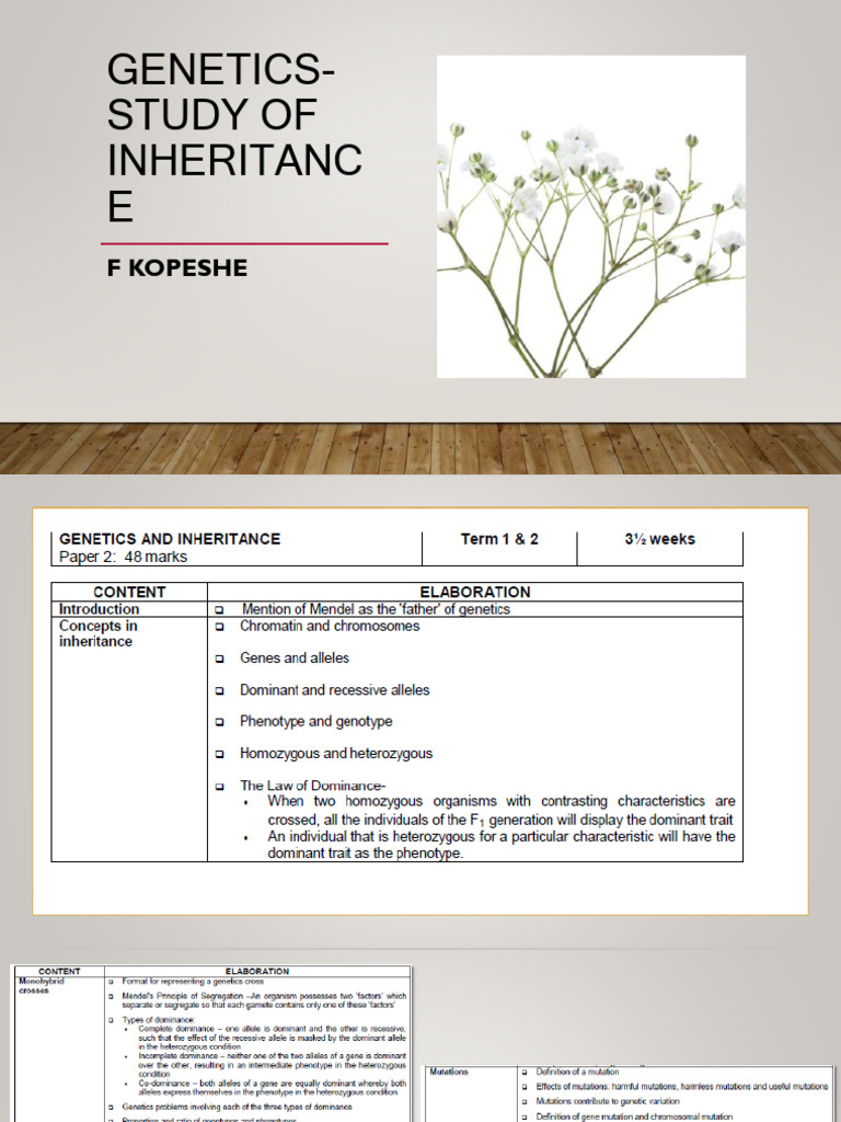 Genetics-Study of Inheritance F Kopeshe | PDF | Dominance (Genetics ...
