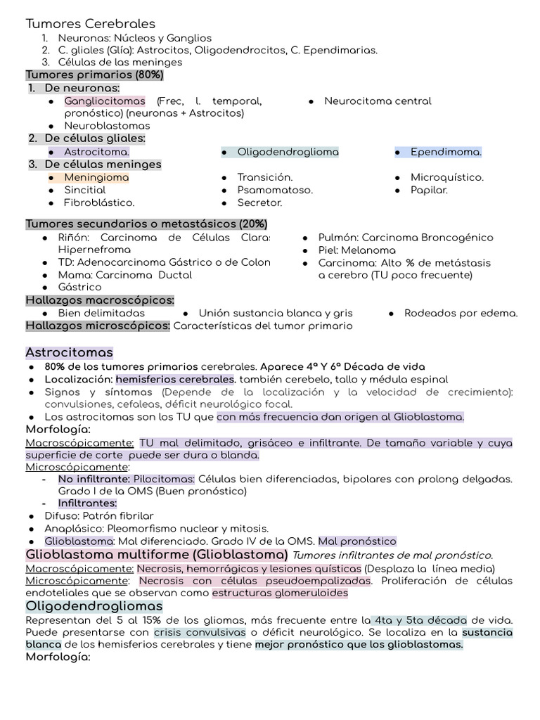 Tema 2. Tumores Cerebrales | PDF | Tumor cerebral | Cerebro