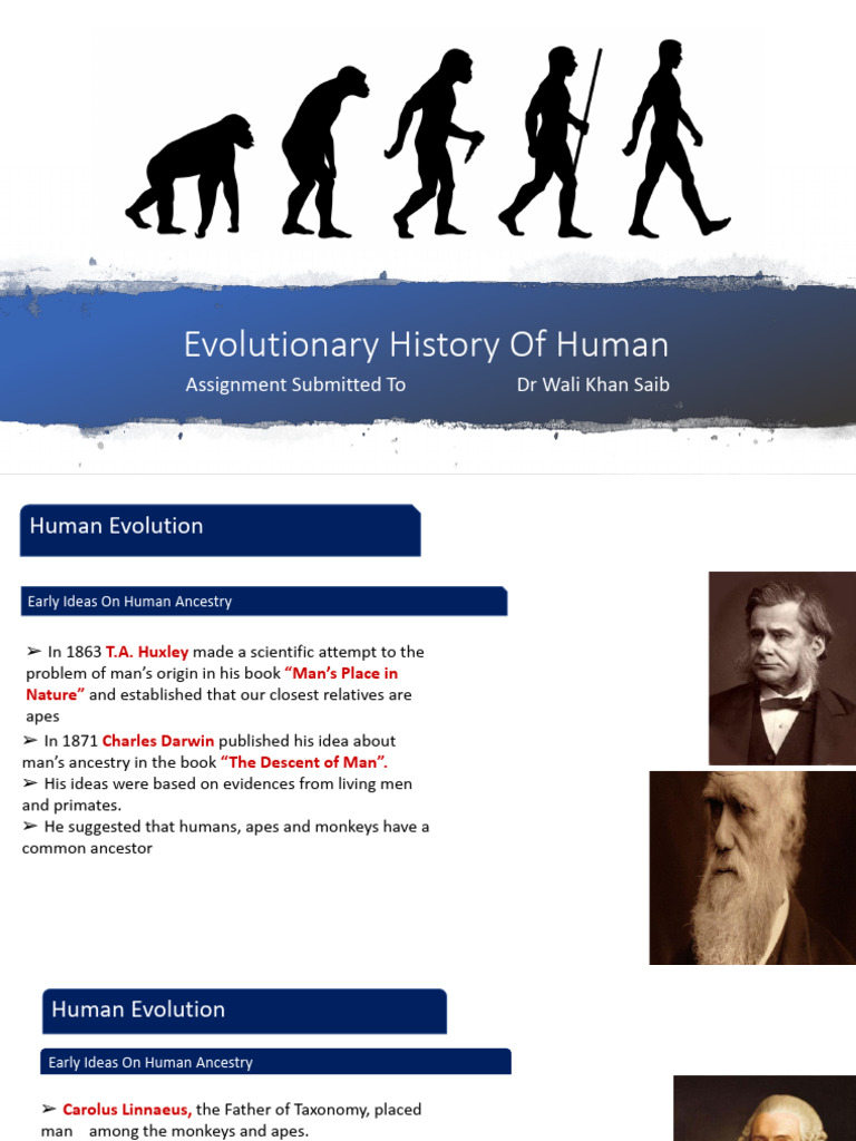 Evolutionary History of Human | PDF | Human Evolution | Homo