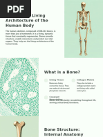Palmar Hand Anatomy Overview | PDF | Hand | Musculoskeletal System