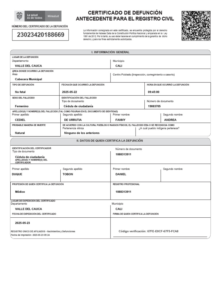 Acta de Defuncion 2 | PDF | Justicia | Crimen y violencia