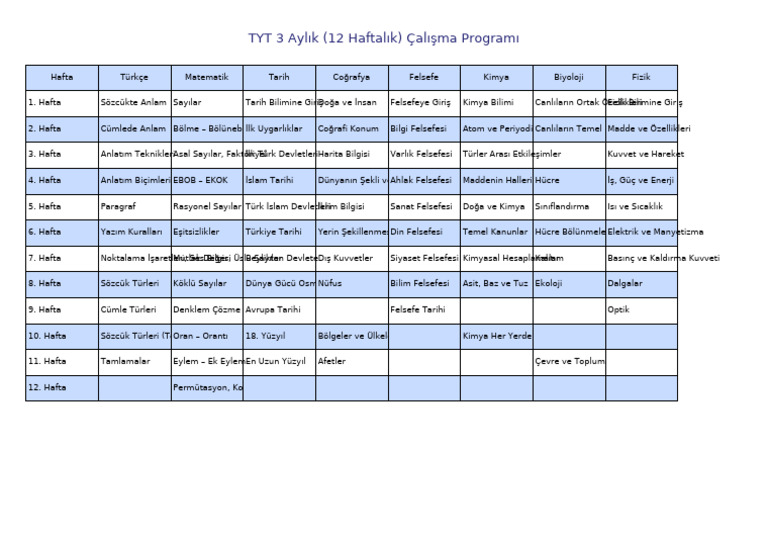 3 Aylik TYT Calisma Programi Stil Renkli | PDF