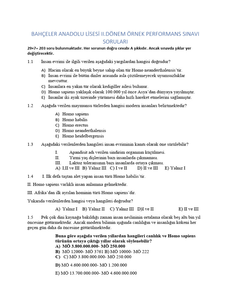 2024-2025 Performans Soruları | PDF