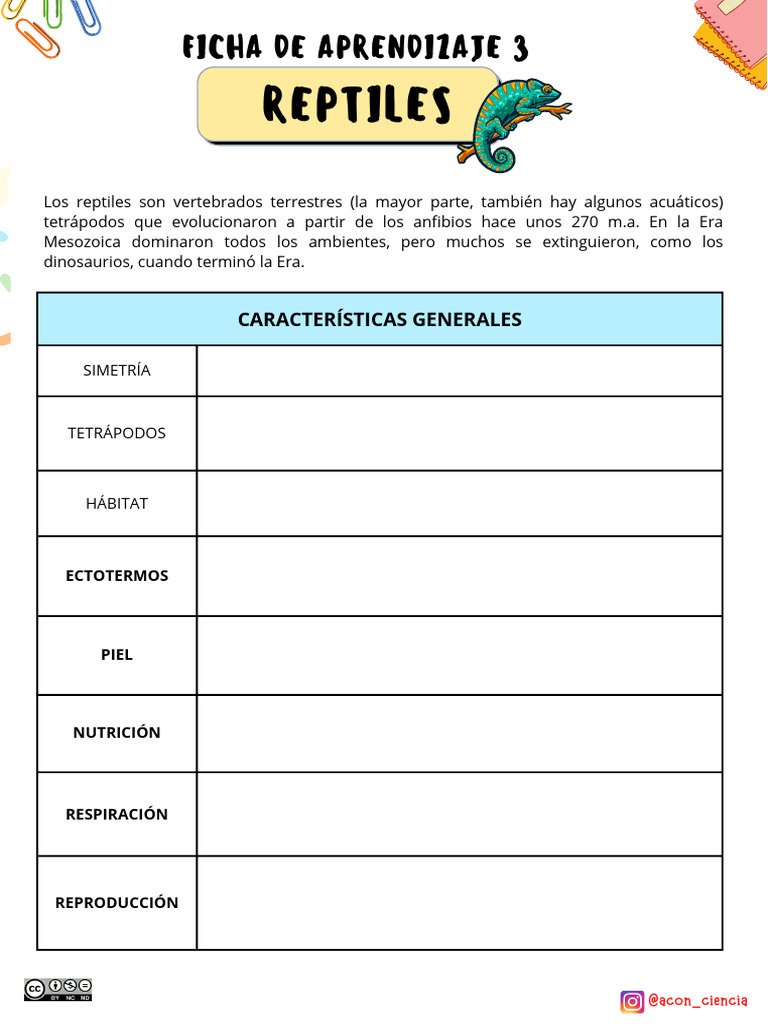 Ficha Reptiles | PDF