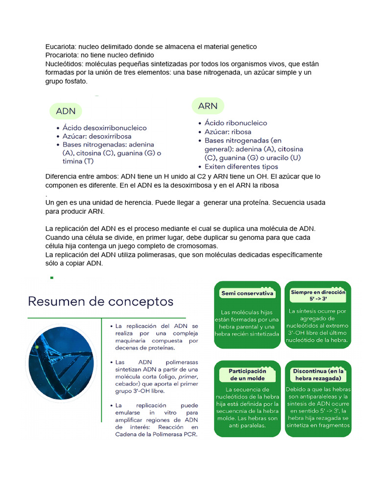 Biotec Resumen Ahi | PDF | Adn | Proteínas