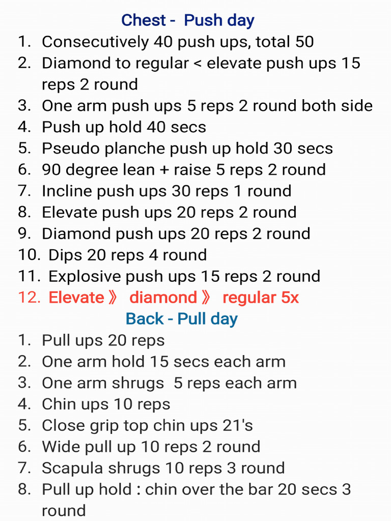 Calisthenics Movements_231209_192105 | PDF