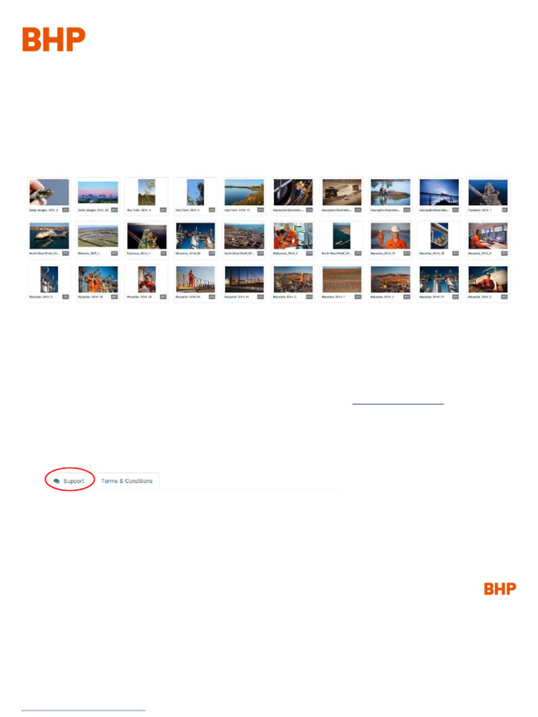 Brand Asset Hub User Guide - Spanish | PDF | Archivo de computadora ...