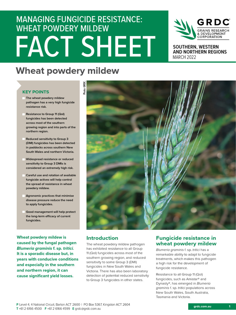Managing Wheat Powdery Mildew Resistance | PDF | Wheat | Agriculture