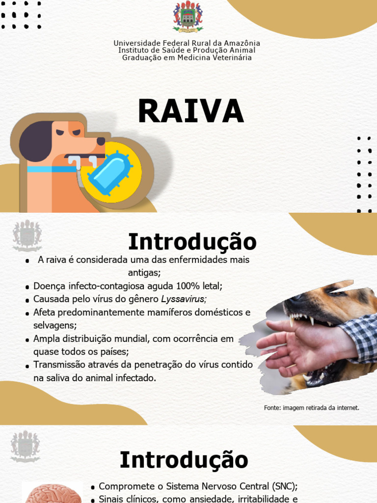 Raiva: Sintomas, Diagnóstico e Prevenção | PDF | Raiva | Biologia