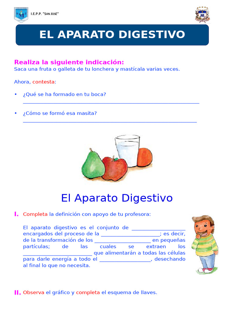 Ficha 1 El Aparato Digestivo | PDF | Sistema digestivo humano | Digestión