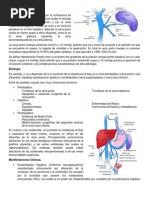 AZOADOS | PDF | Ciencia y matemáticas