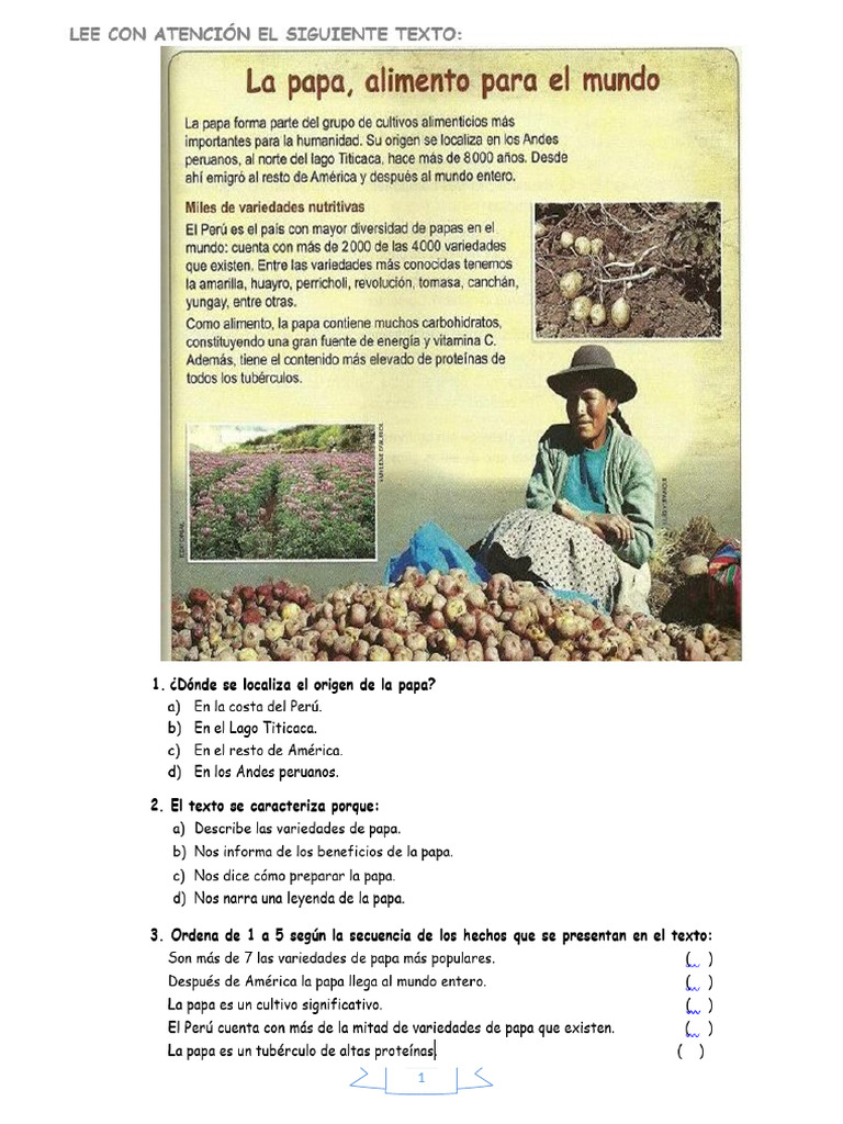 Plan Lector Del 9 Al 13 Junio | PDF