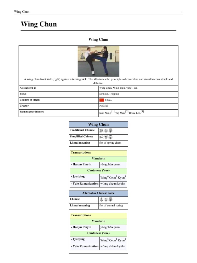 Wing Chun | PDF | Wing Chun | Chinese Martial Arts