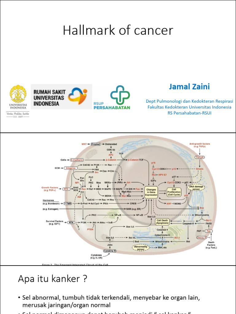 Hallmark of Cancer - PIT PDPI 2022 | PDF