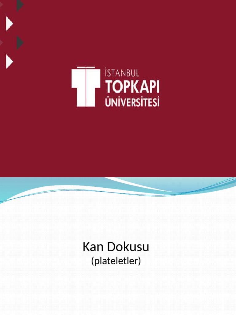 VWsyQ3ZmWTR3MmViYi84U3dIYkV2UQ2024-2025 Hematoloji-Trombosit 5 Hafta | PDF