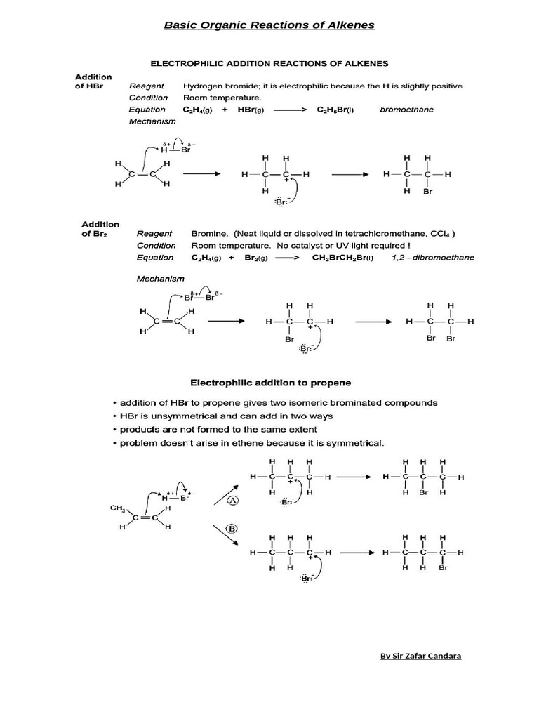 Basic Organic Reactions of Alkenes Act | PDF