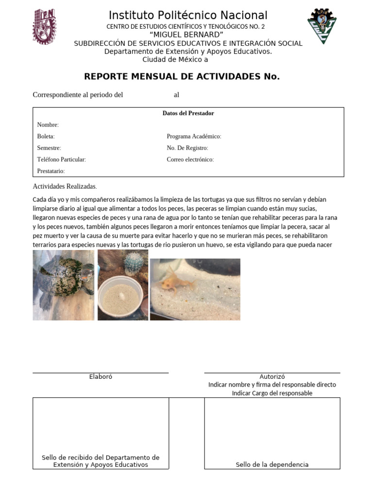 Reporte Mensual de Actividades1 | PDF