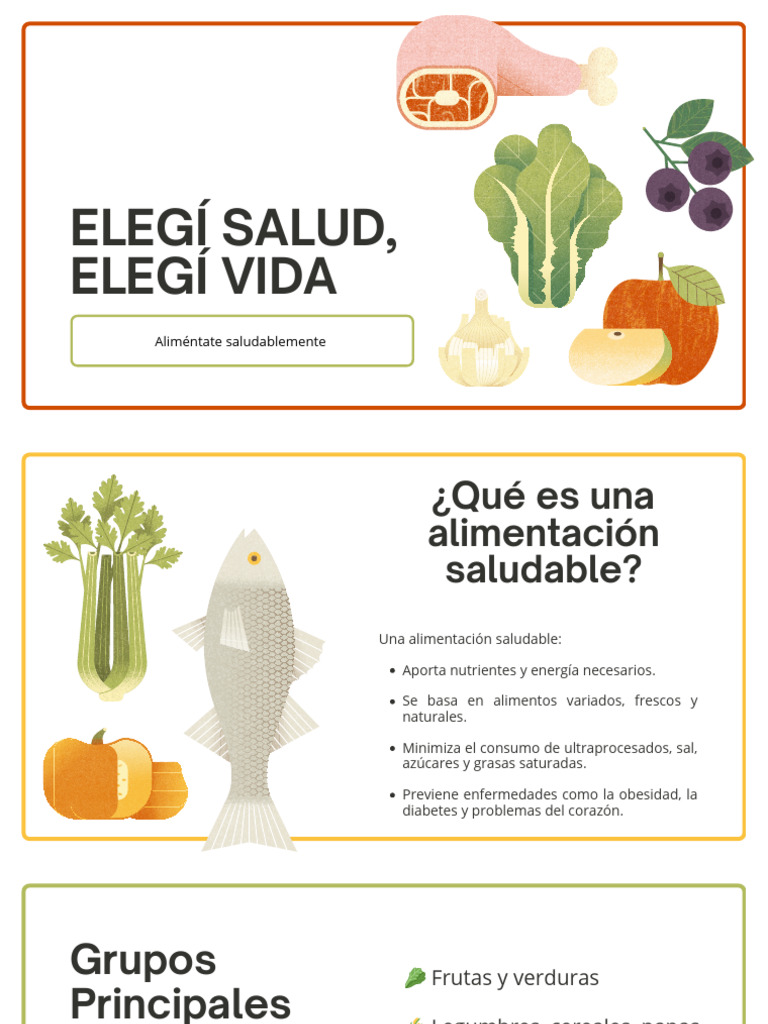 Presentación Alimentación Saludable Orgánico Rojo - 20250627 - 204631 - 0000 | PDF