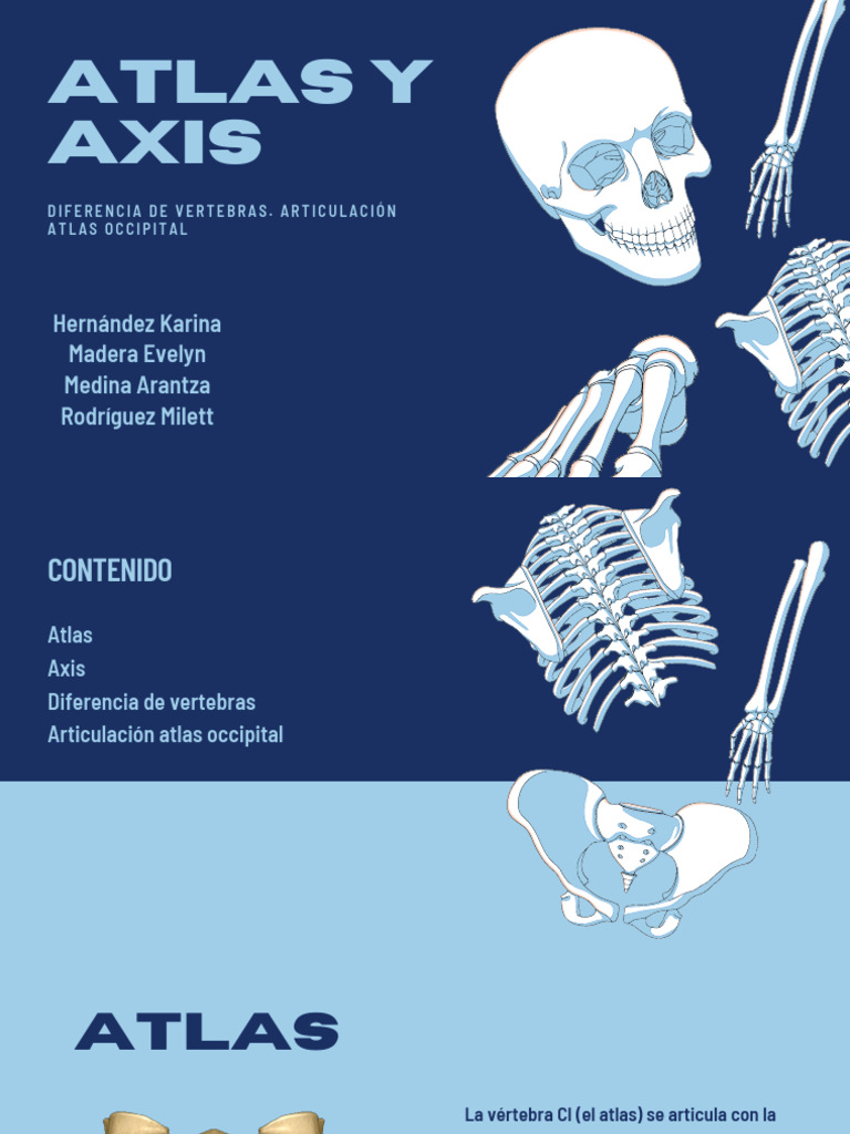 Atlas y Axis | PDF | Vértebra | Sistema esquelético