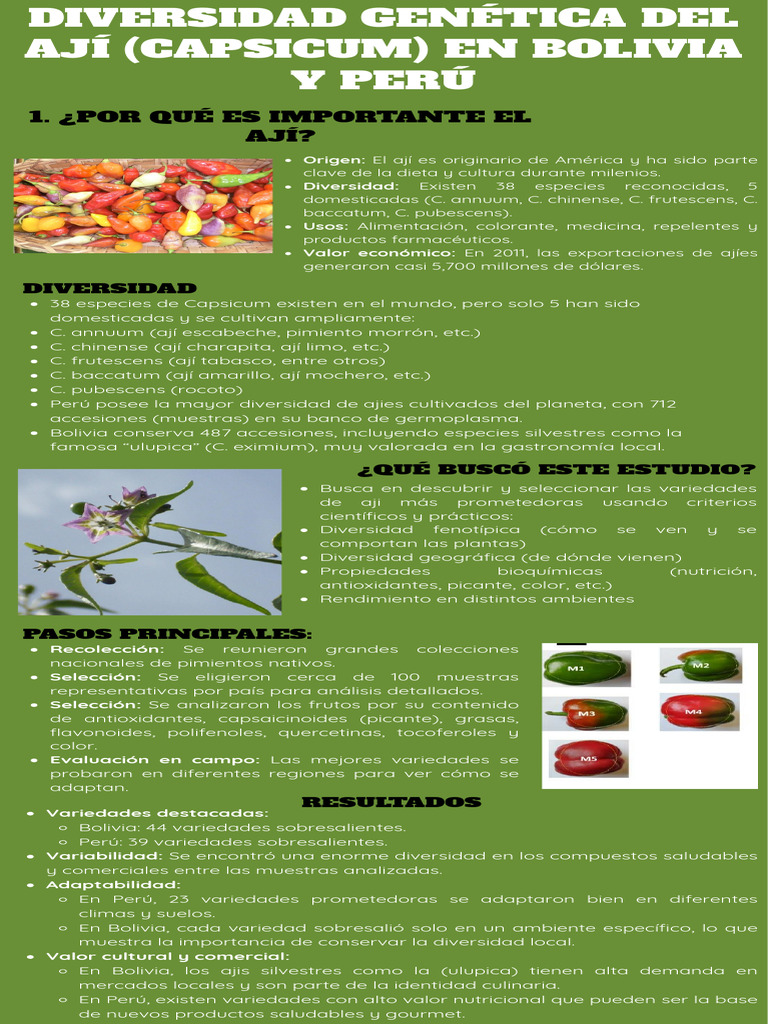 Diversidad Genética Del Ají .-. | PDF | Ají picante | Pimiento