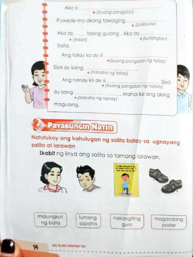 HW Zander Pluma | PDF