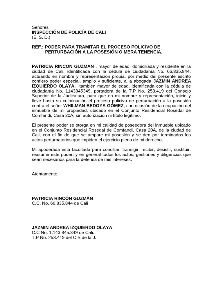 Poder Proceso de Perturbacion | PDF