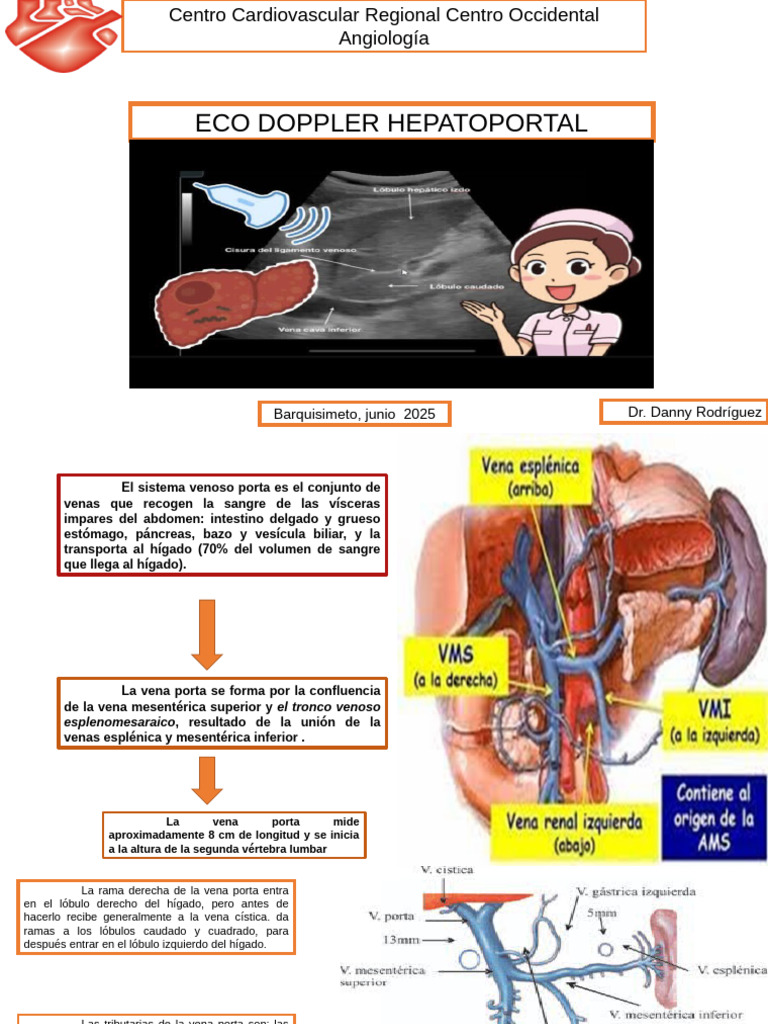 Eco Doppler Hepato Portal | PDF | Hígado | Vena