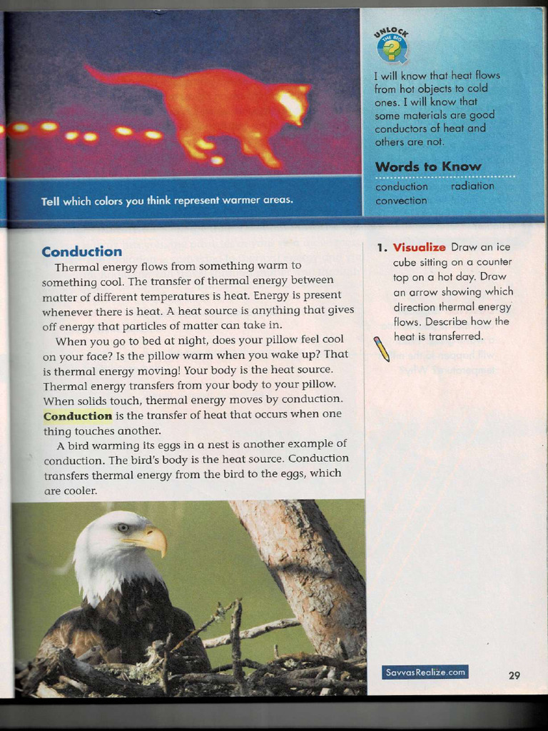 Grade 4 Interactive Science Page 67-40-78 - Compressed | PDF
