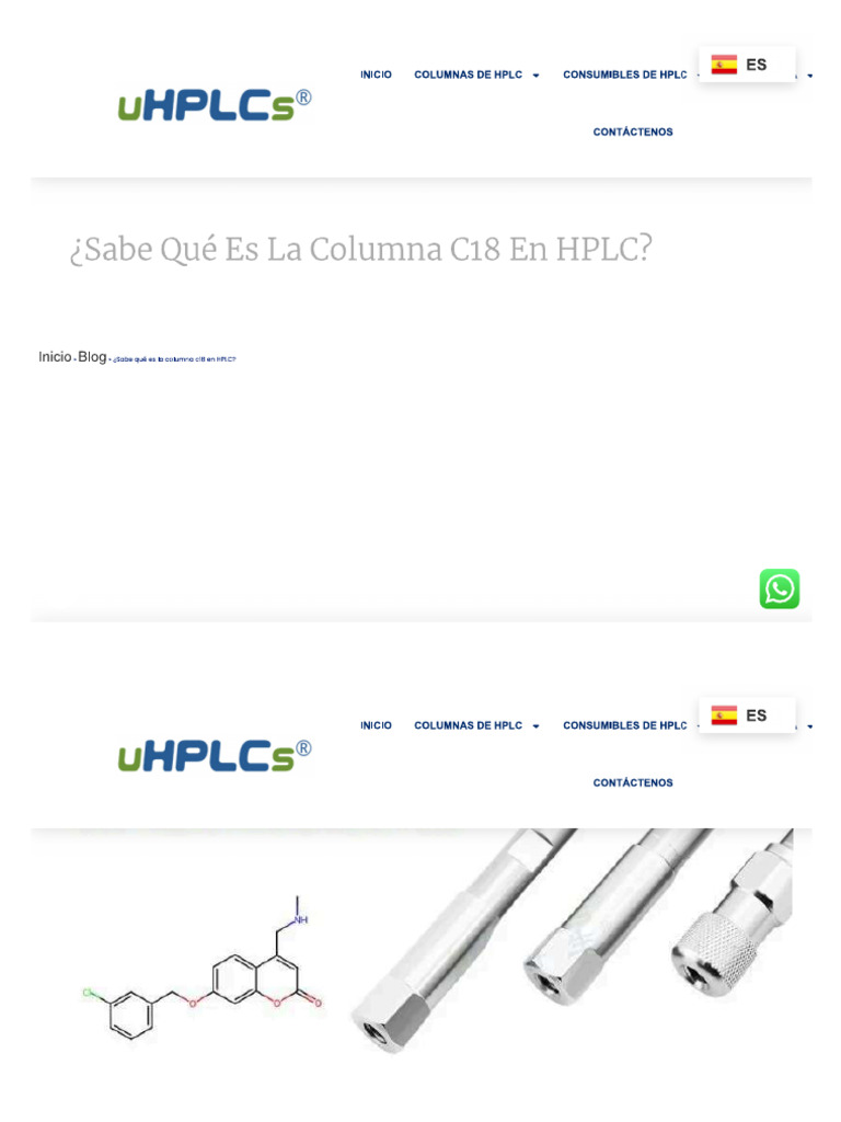 Sabe Qué Es La Columna C18 en HPLC | PDF