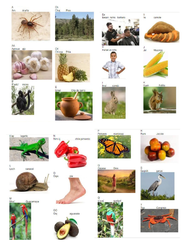 Abecedario en Poqomchi | PDF