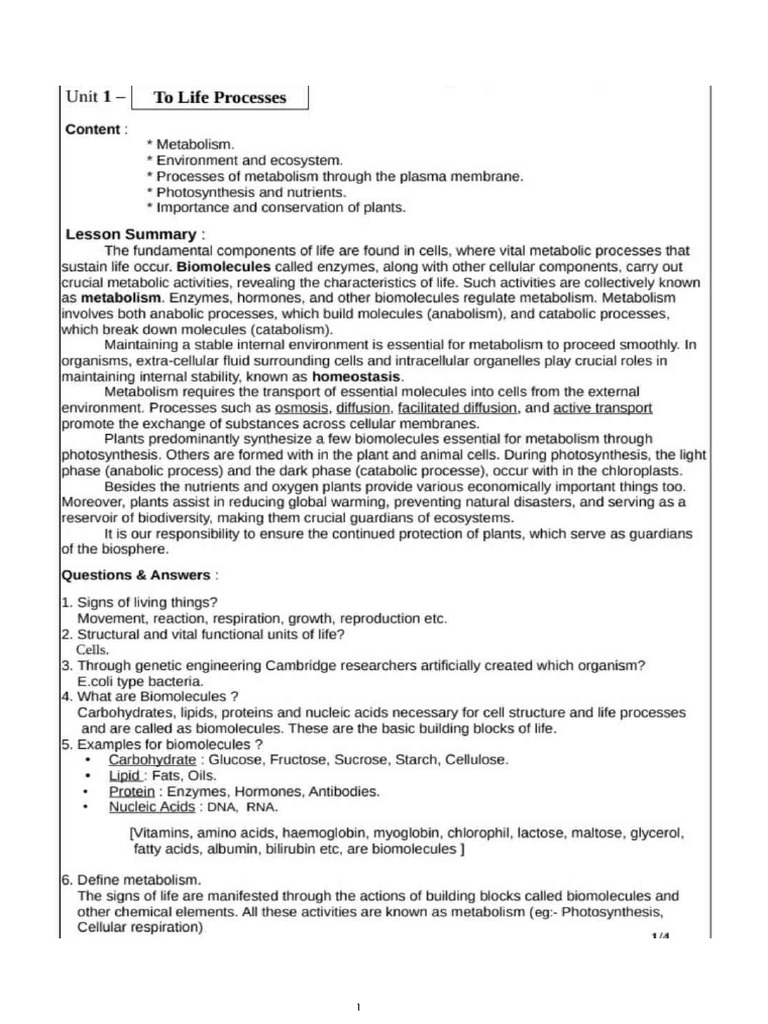 Life Process | PDF