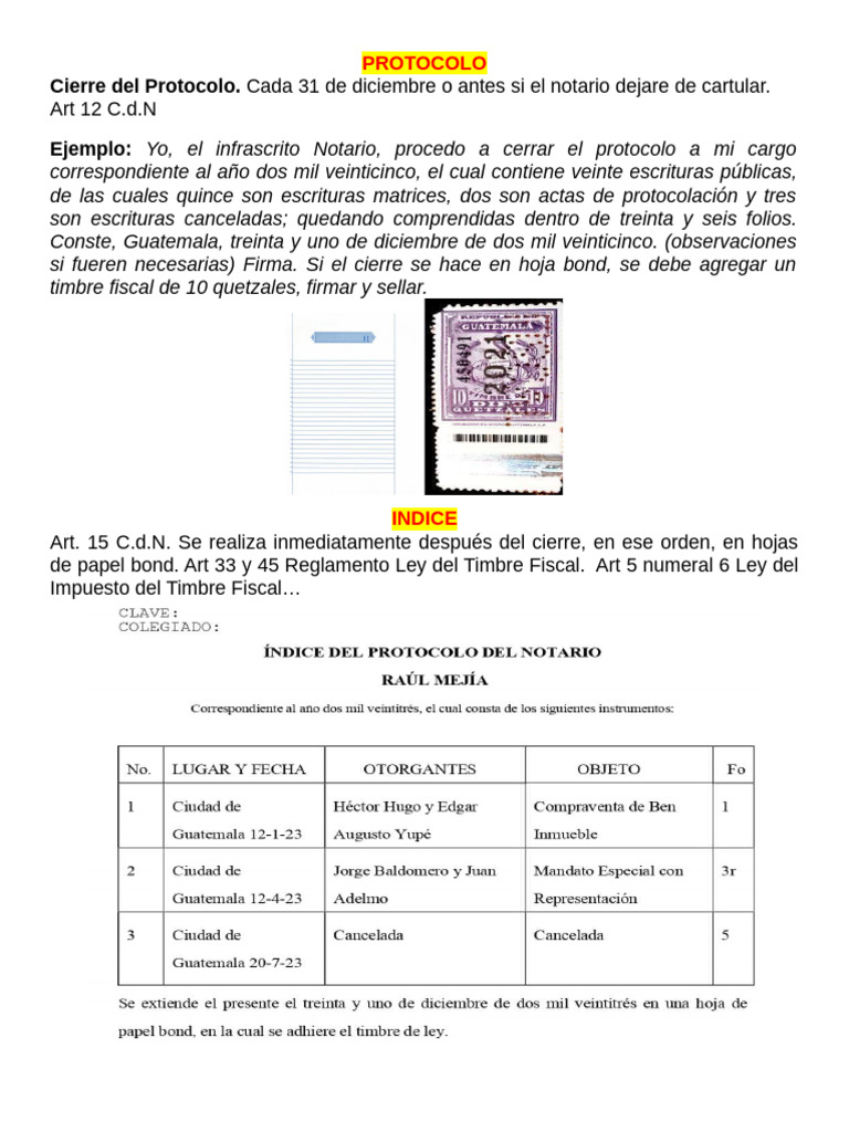 PROTOCOLO | PDF | Ley común